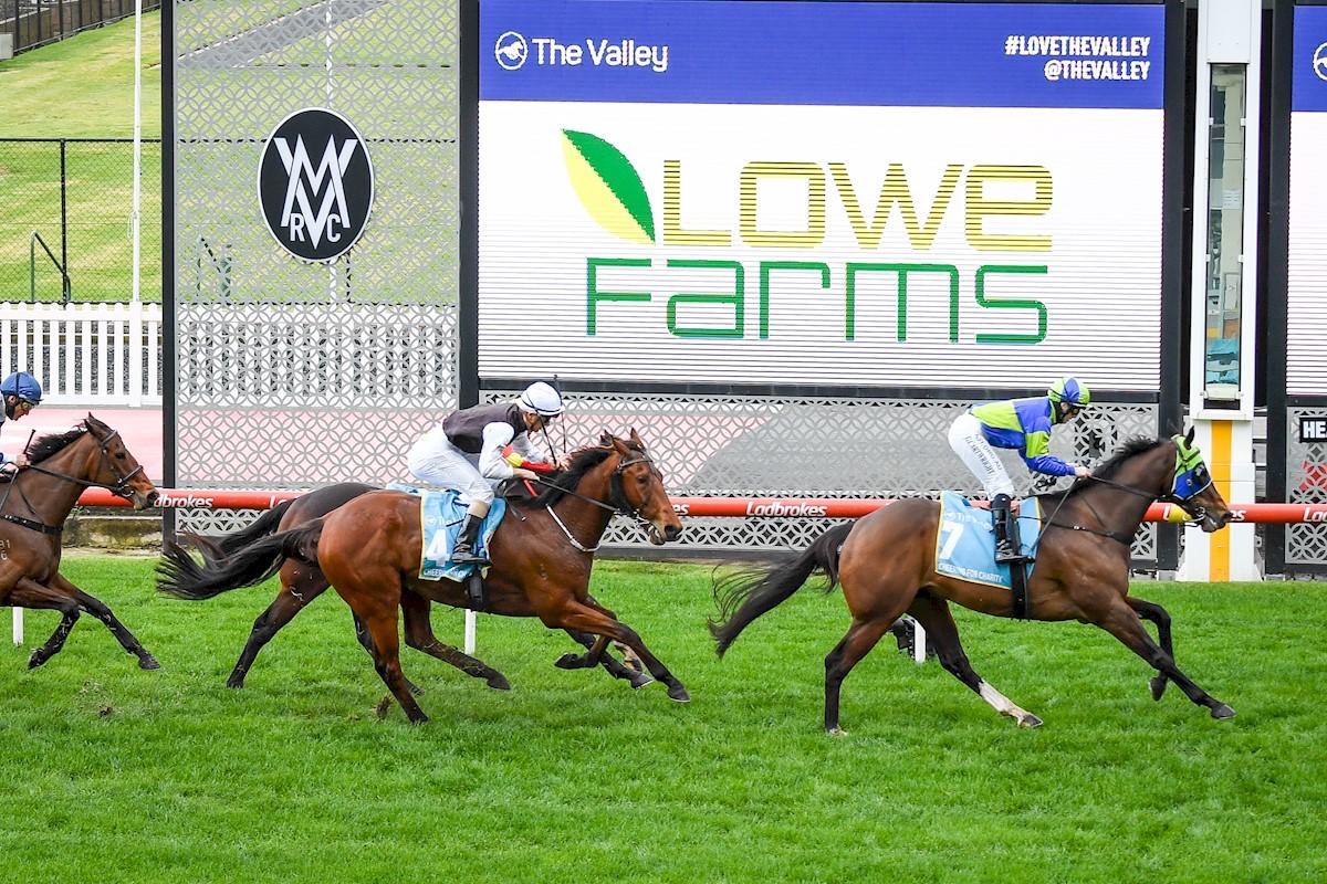 Alsvin now the most wins of any horse trained by Shea - Eden Racing