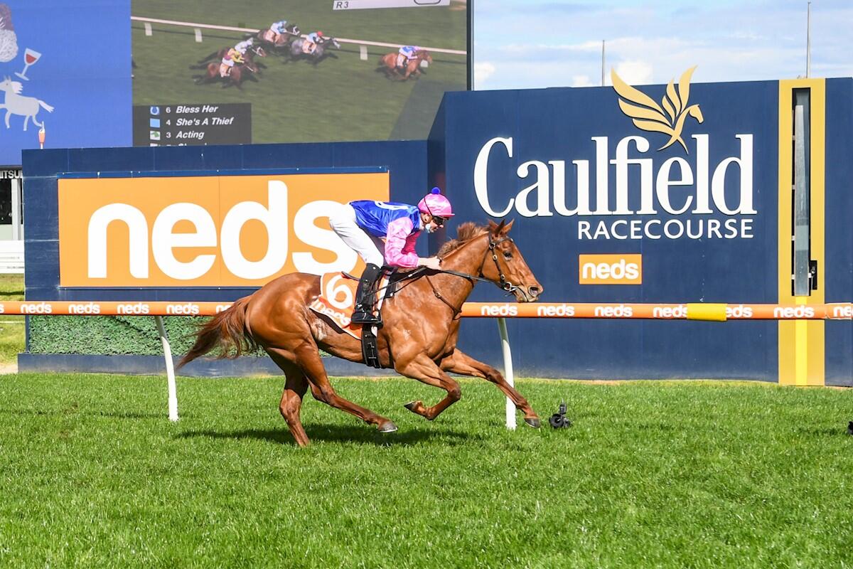 Stable striking at 50% in the new season - Eden Racing