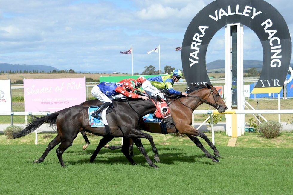 Frag you beauty - Eden Racing