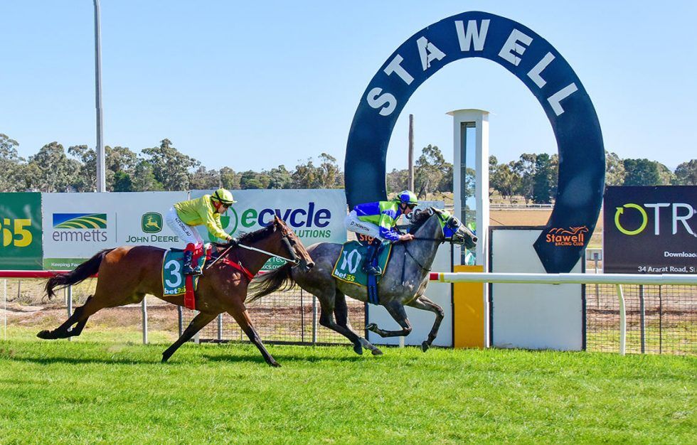 Great to have Commando Miss back - Eden Racing