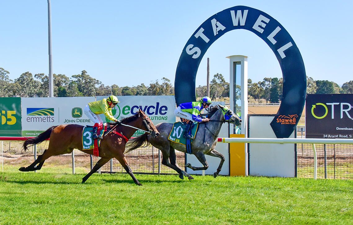 Great to have Commando Miss back - Eden Racing