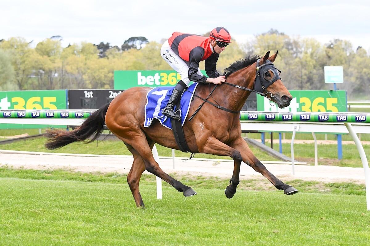 Lilly back in winners stall - Eden Racing