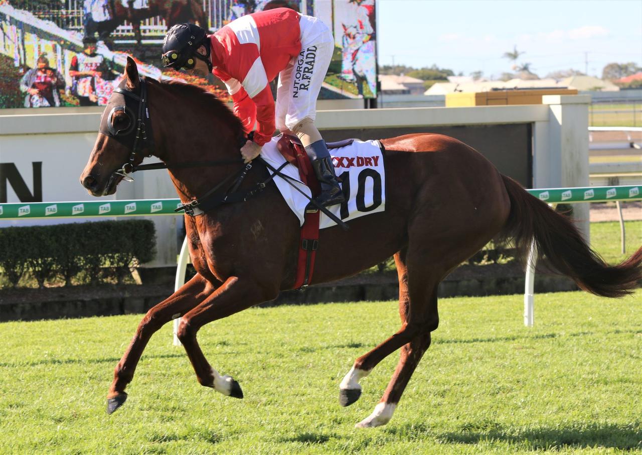 GINGER ROCK CLAIMS ANOTHER QTIS FILLIES BONUS - Dan Bougoure Racing