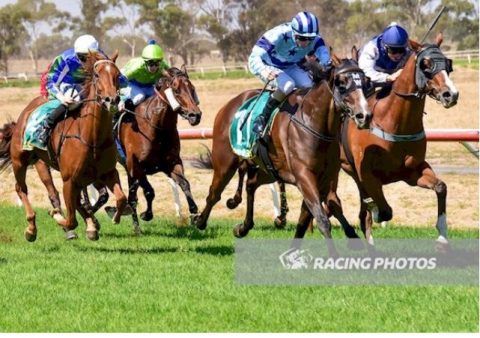 Socialising Gets Her Miracle Maiden - MJ Williams Thoroughbred Training