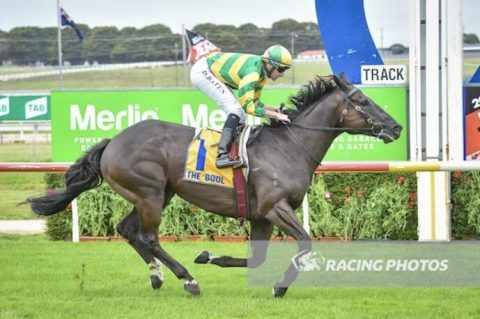 Patience Rewarded On Jericho Cup Day - MJ Williams Thoroughbred Training