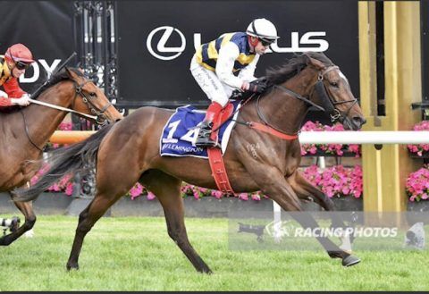 Toregene Takes The $500K Prize On Oaks Day - MJ Williams Thoroughbred ...