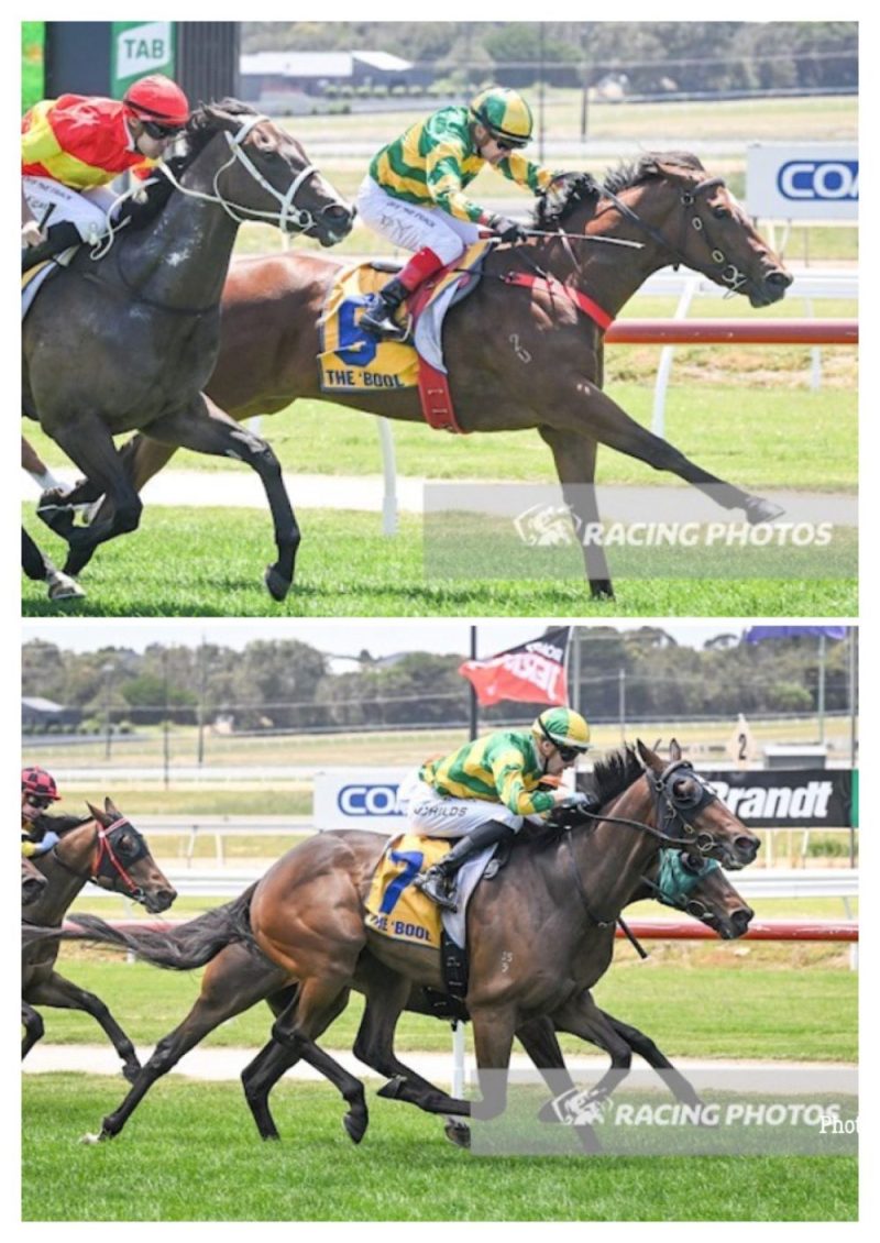 Stable Double On Jericho Cup Day - MJ Williams Thoroughbred Training