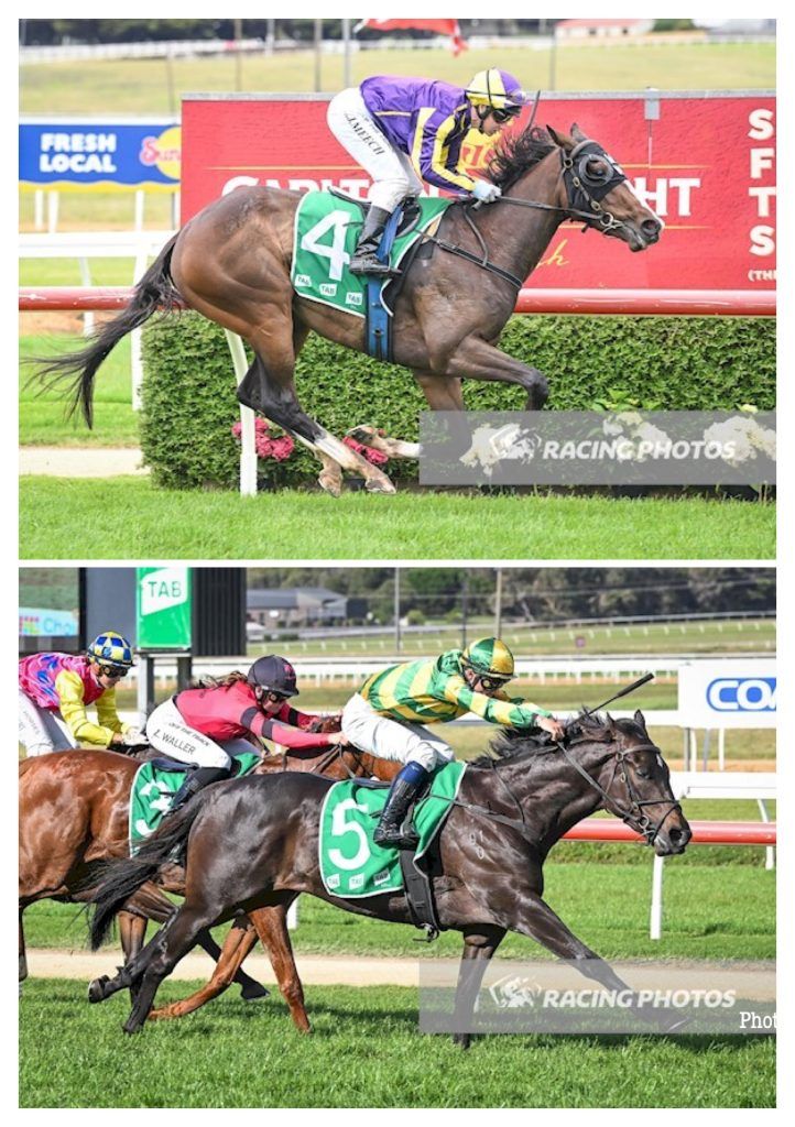 Stable Double On Jericho Cup Day - MJ Williams Thoroughbred Training