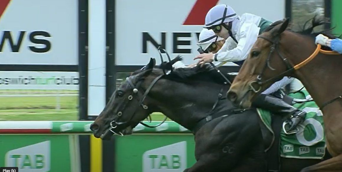 New stable recruit, Night Guy, goes back-to-back - Hulbert Racing