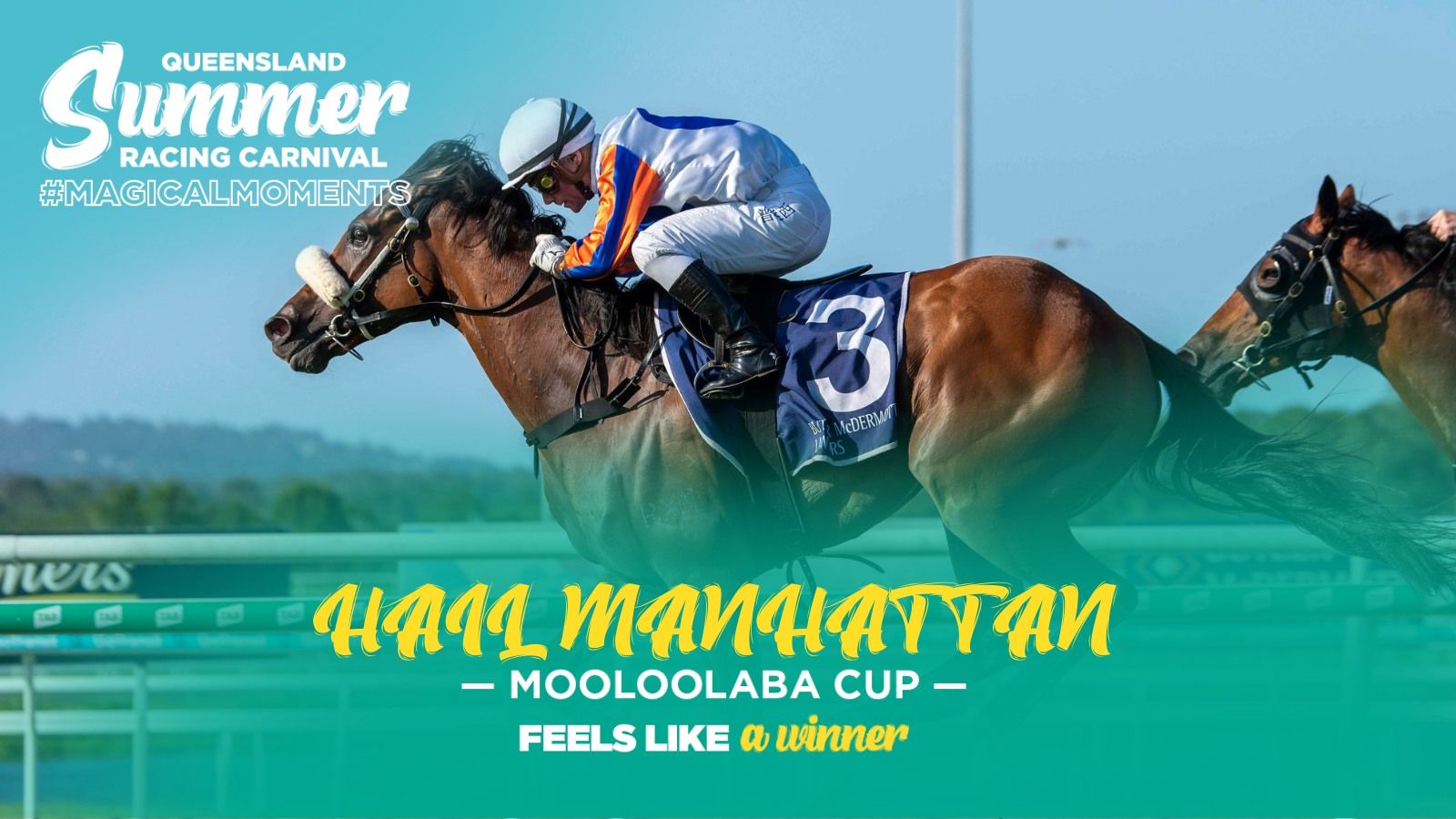 Australian Horse Trainer | Hulbert Racing | Peter and Will Hulbert