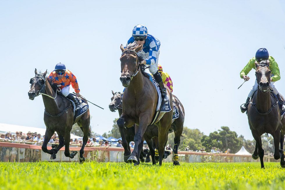SHOWADDYWADDY WINS AT BUNBURY! - Belhus Racing
