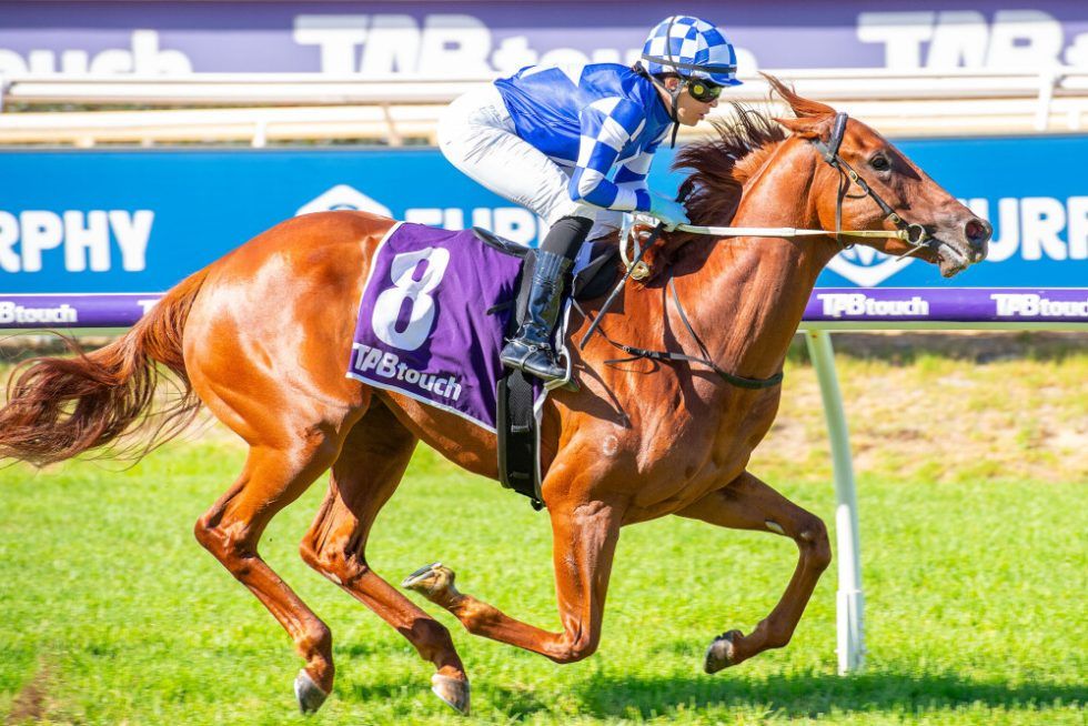Cheeky Charlotte Wins On Debut! - Belhus Racing