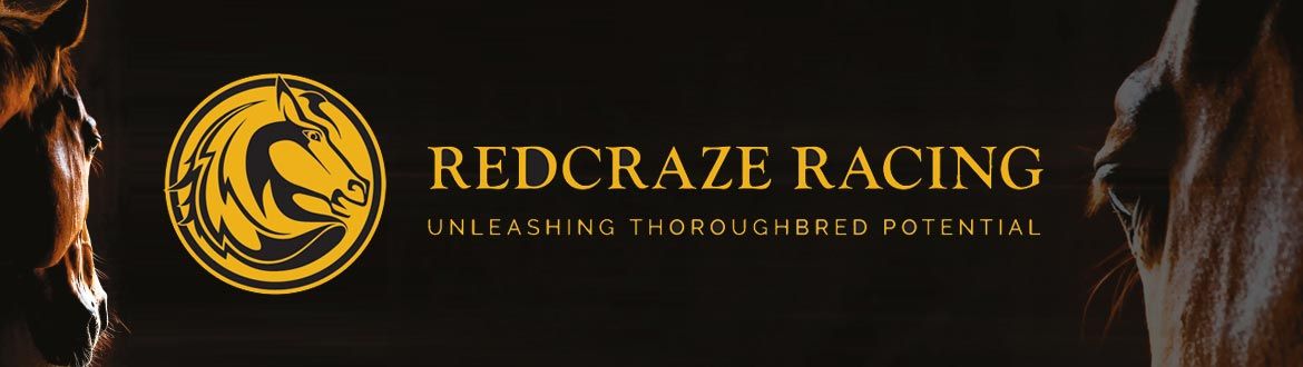 Interested In Investing - Redcraze Racing
