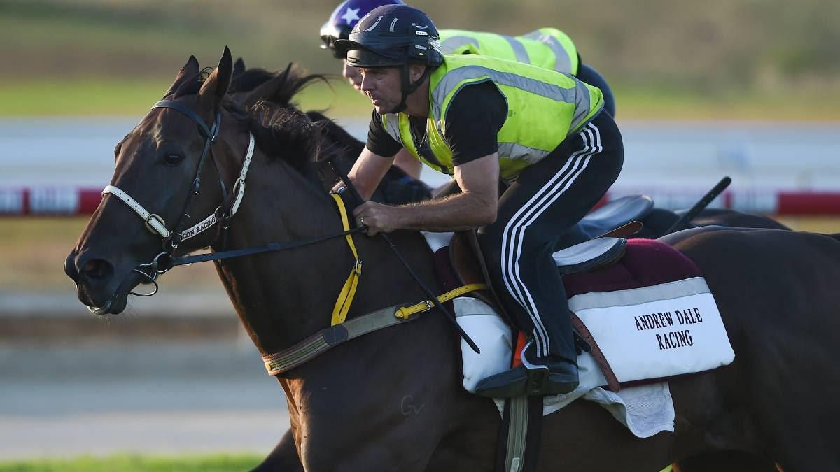 Dale eyes return with star galloper | Andrew Dale Racing - Andrew Dale ...