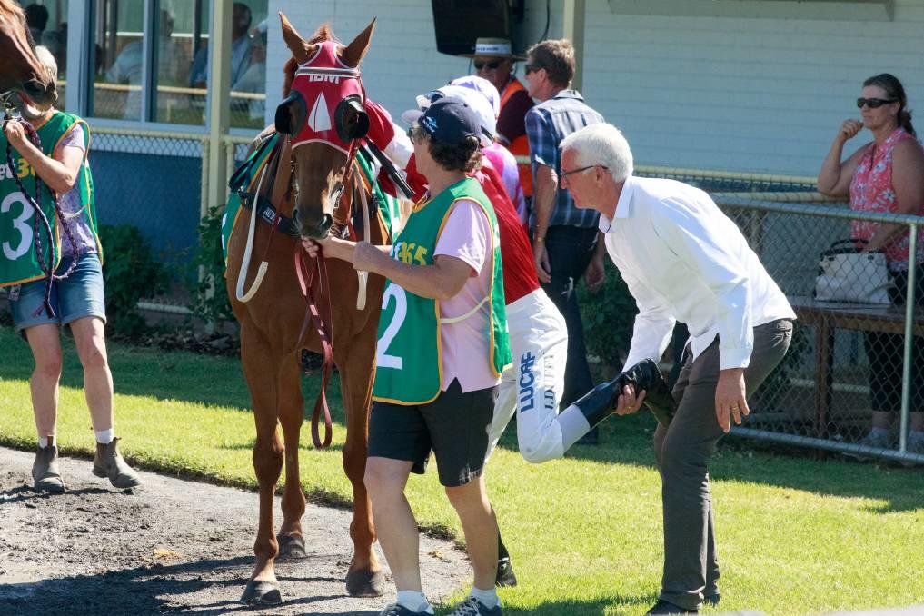 Veteran campaigner given time frame to regain best form | The Border Mail - Andrew Dale Racing