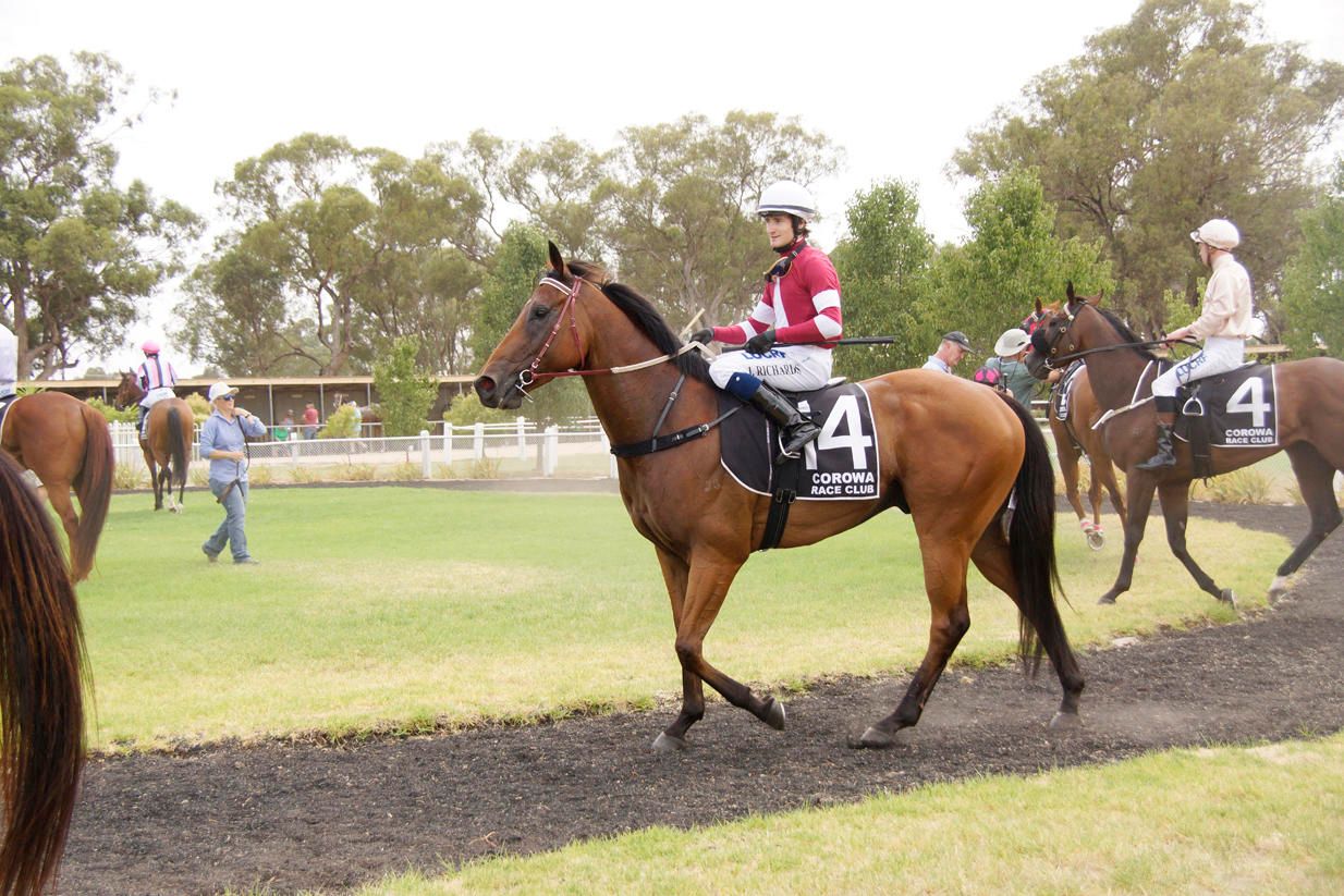 Framework horse for the course at Corowa | Andrew Dale Racing - Andrew ...