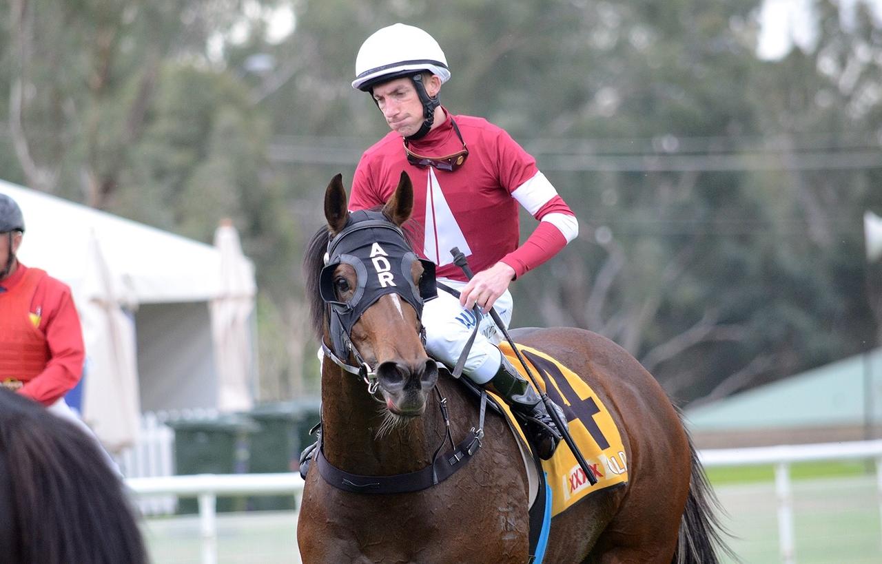 Parliament makes it two wins from three starts since joining Andrew ...