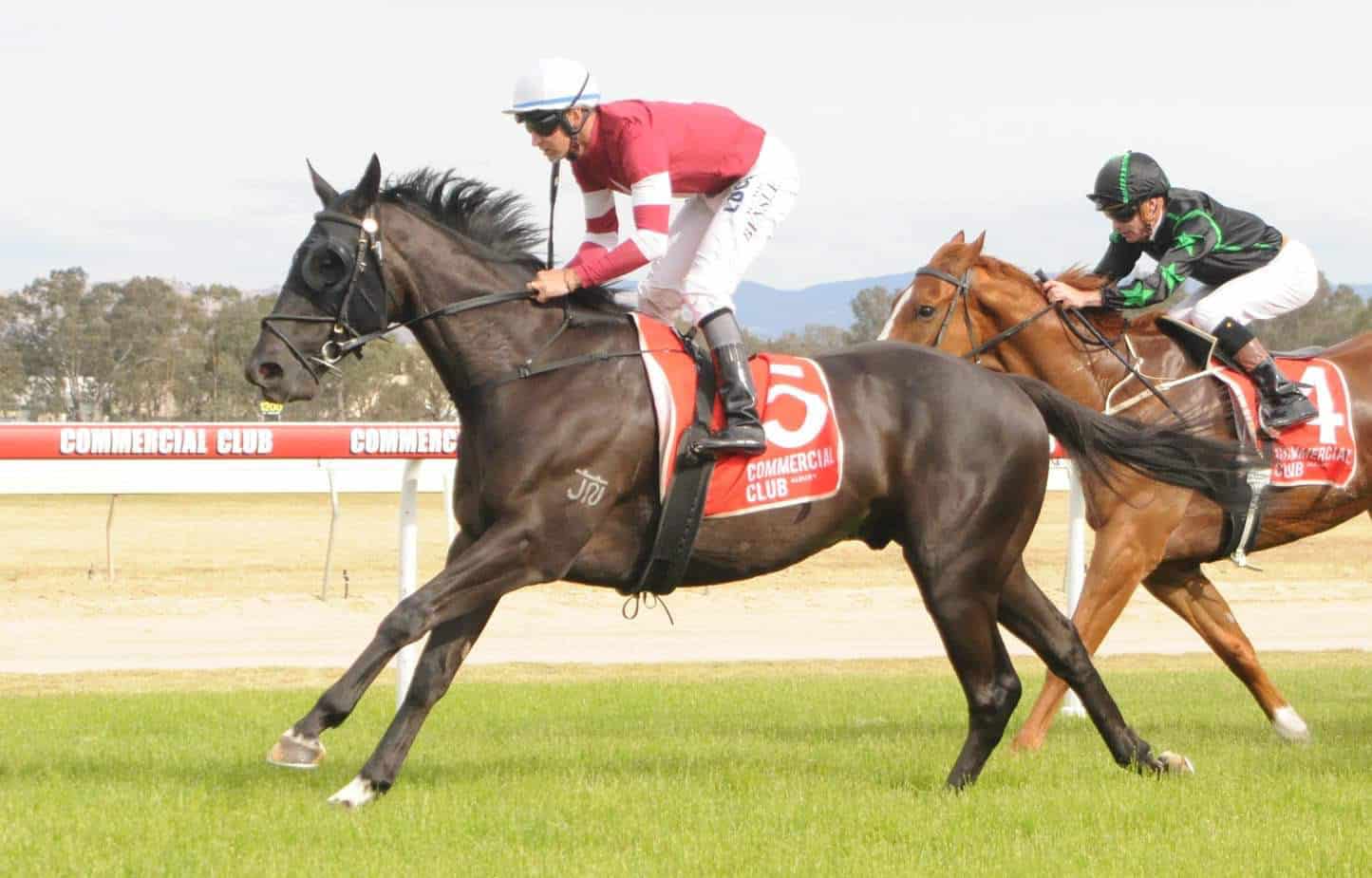 Destination Rocks wins - Andrew Dale Racing