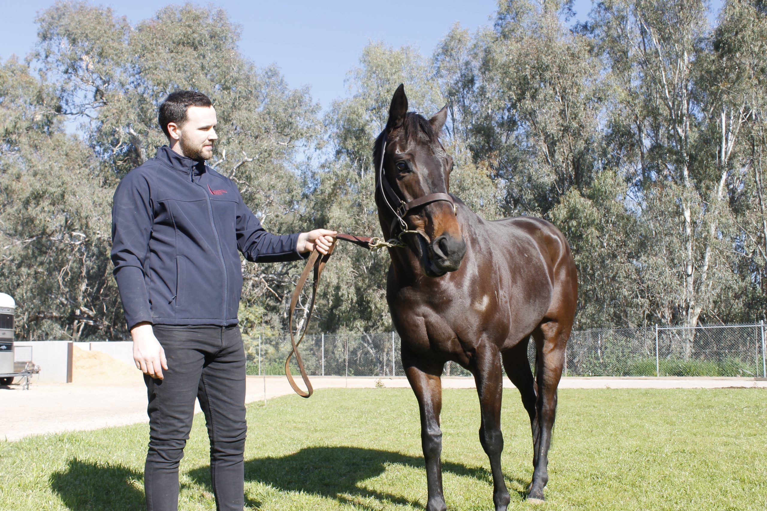 Andrew Dale notches up stellar season - Andrew Dale Racing