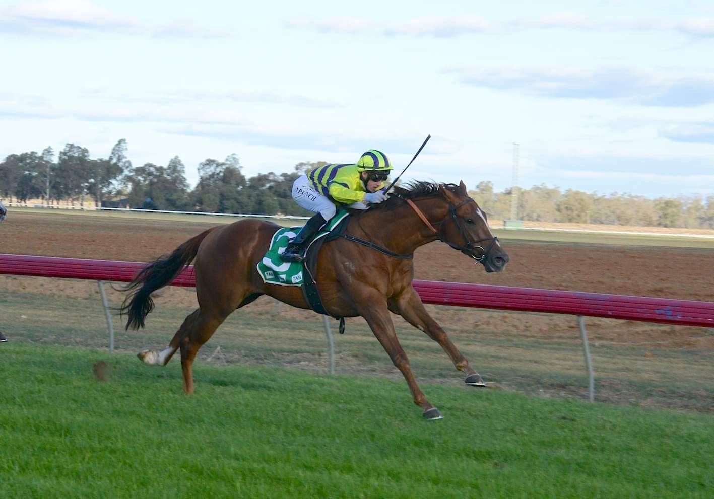 Treble for Dale stable at Deniliquin - Andrew Dale Racing
