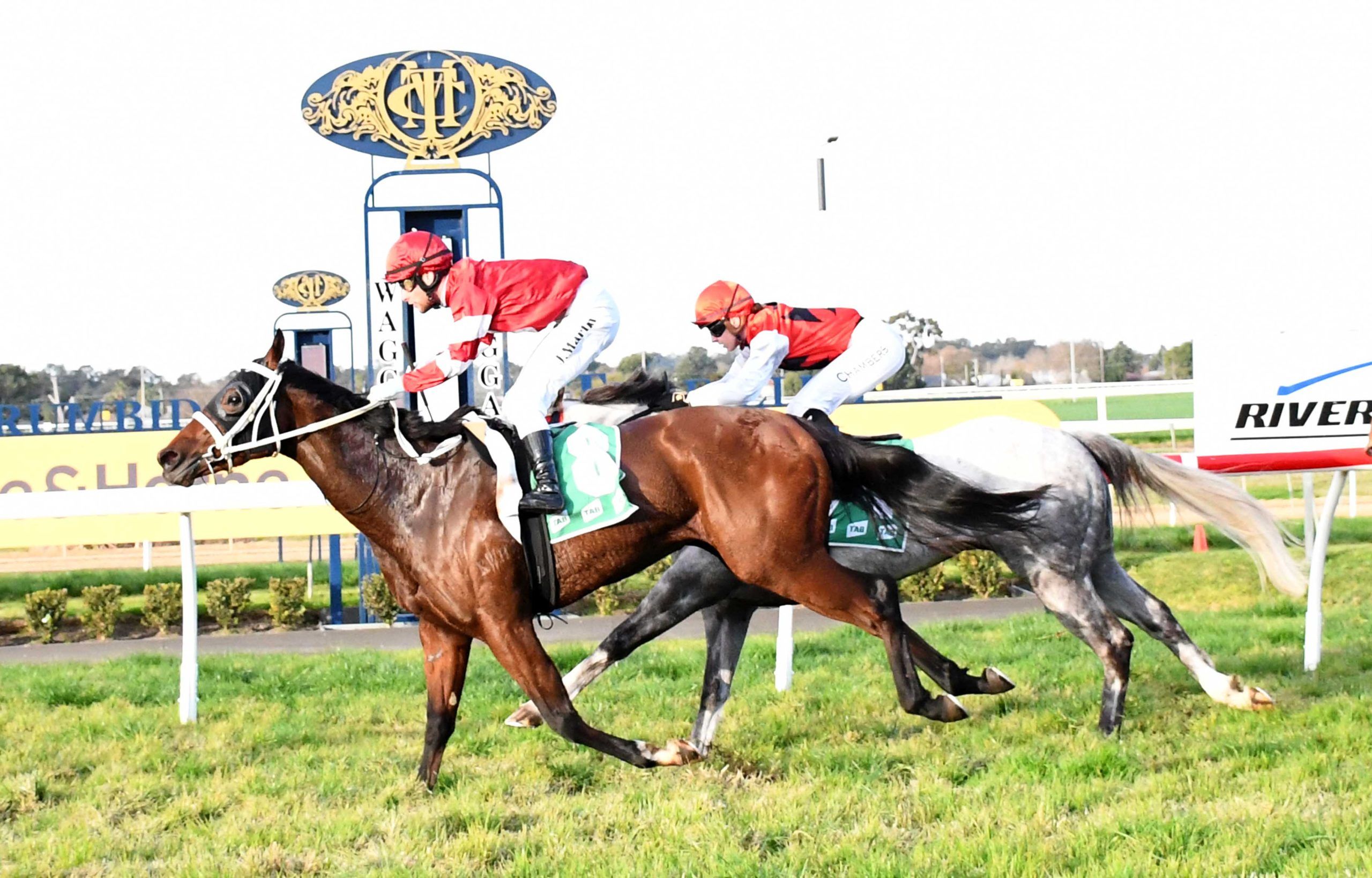 From the Barn: Double for Dale - Andrew Dale Racing