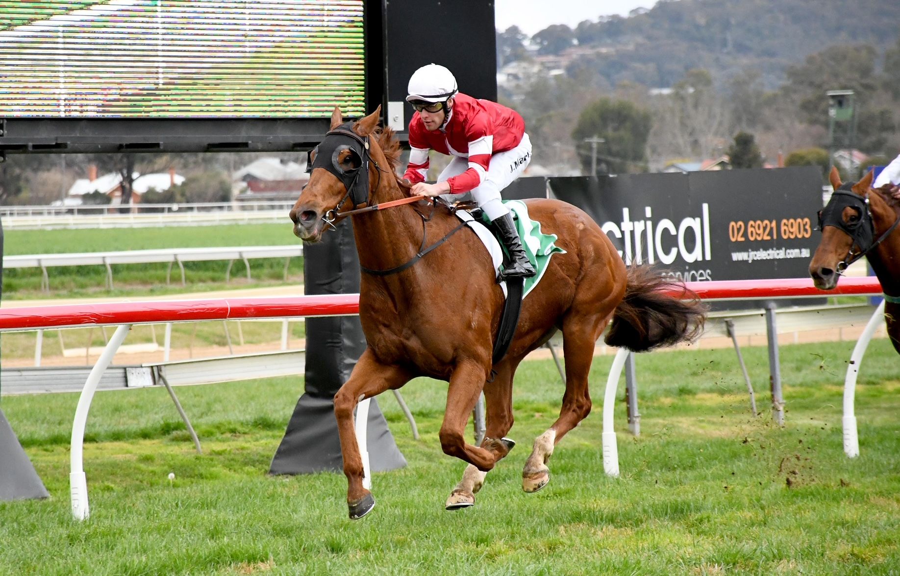 From the Barn: Action packed week - Andrew Dale Racing