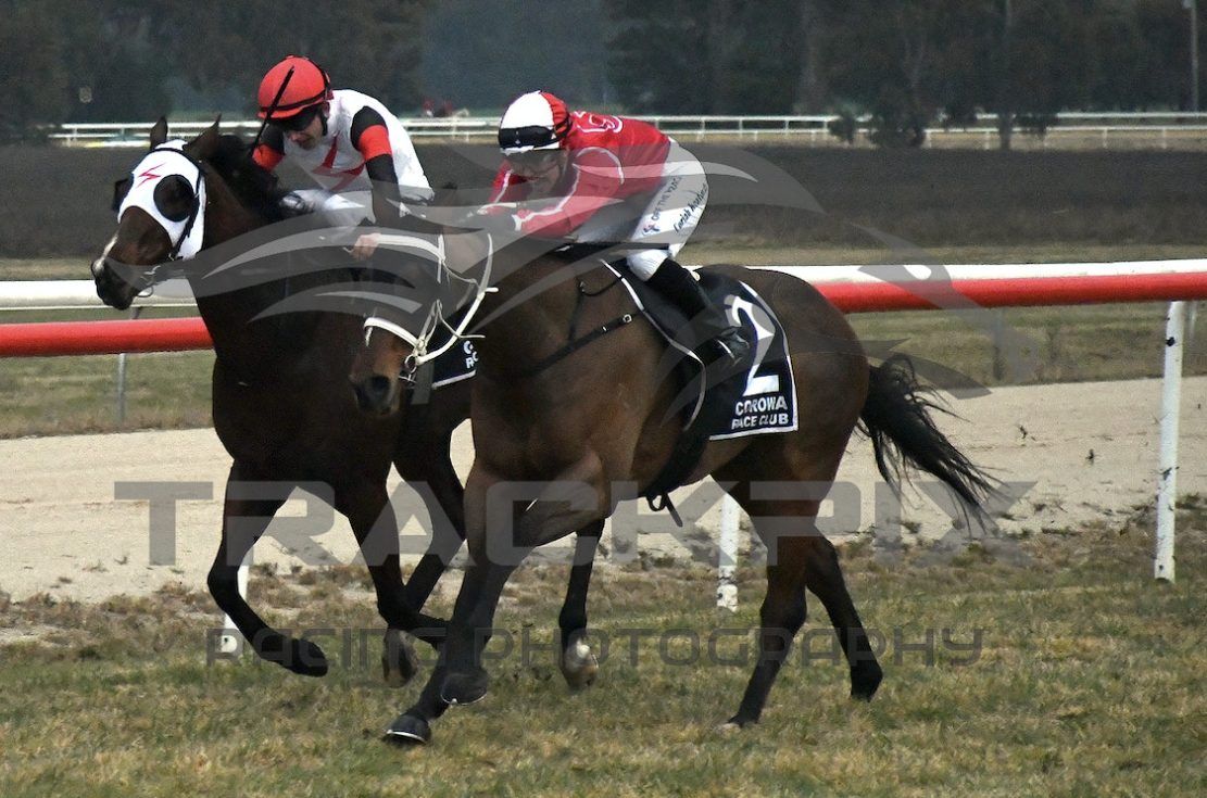 Four for the weekend for Dale - Andrew Dale Racing