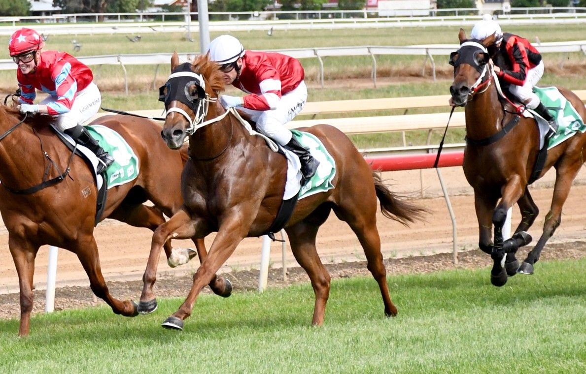 From the Barn: Racing returns to Wangaratta - Andrew Dale Racing