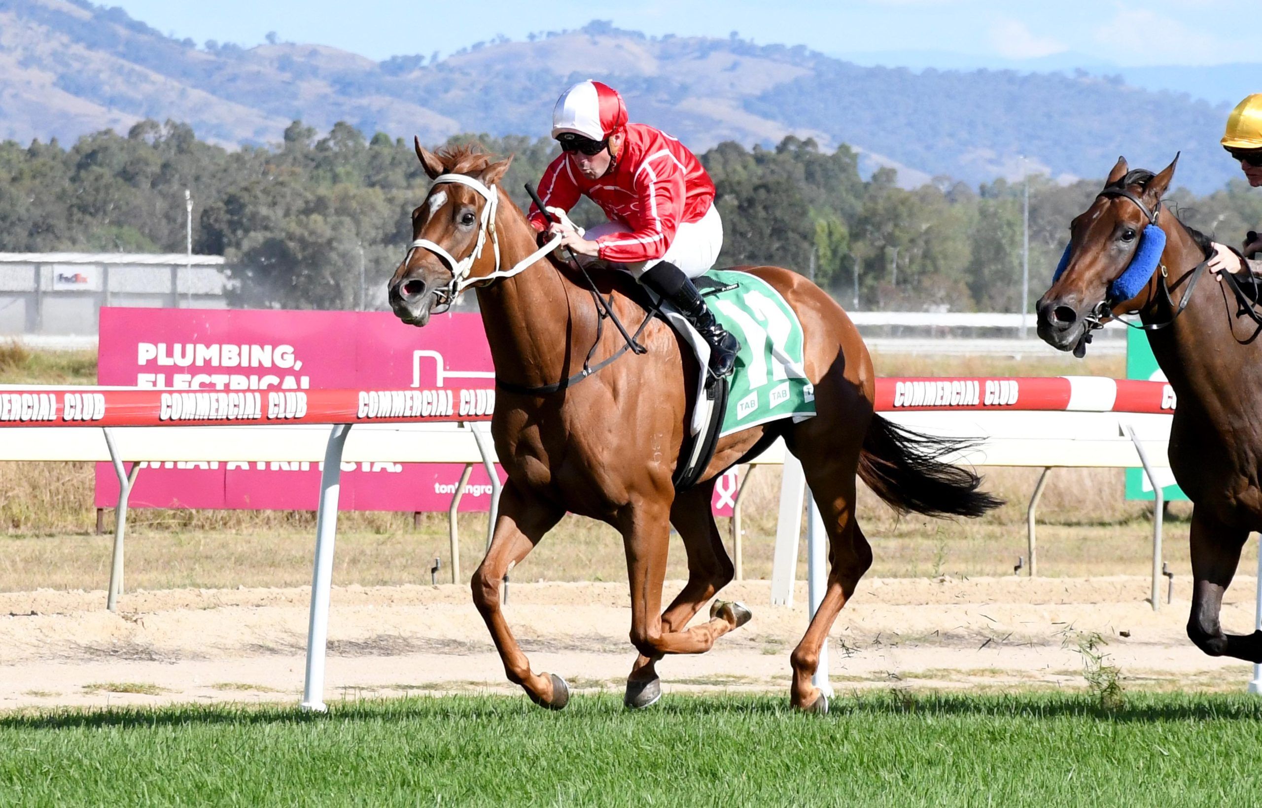 Shooting For Stars looking to get back to best - Andrew Dale Racing