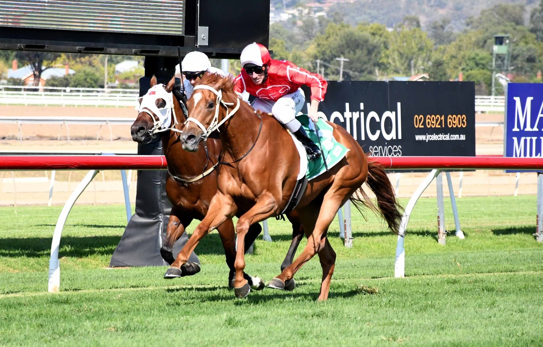ADR heads to Cranbourne's bright lights - Andrew Dale Racing