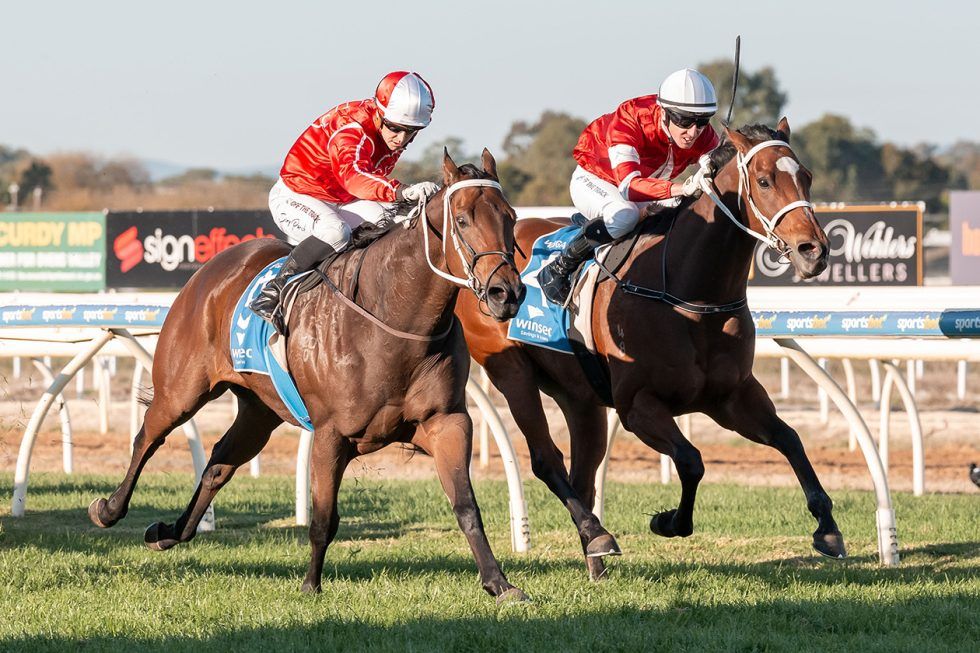 Dale chasing national top 10 - Andrew Dale Racing