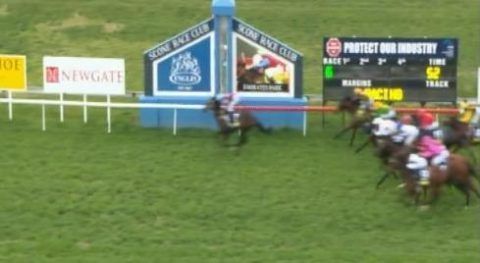 Bend It Like Benny Runs A Nice 2nd At Scone - Damien Lane Racing