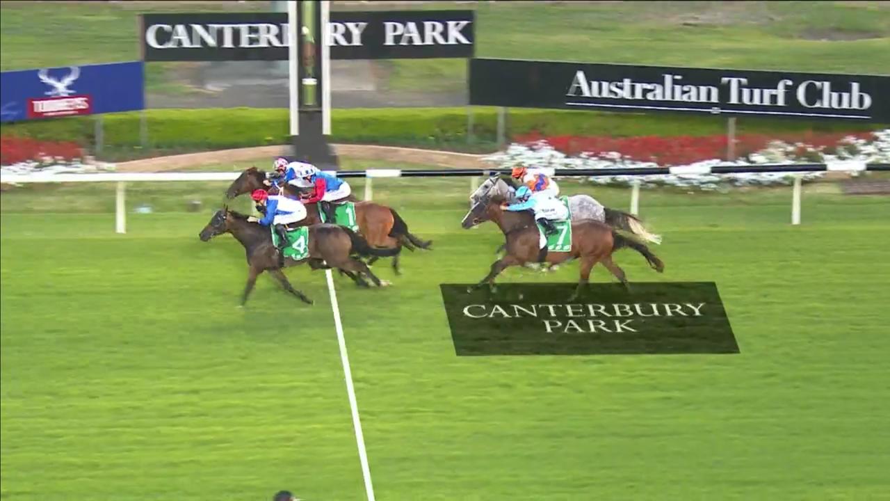 All But Gone Scores At Canterbury Under Jason Collet - Damien Lane Racing