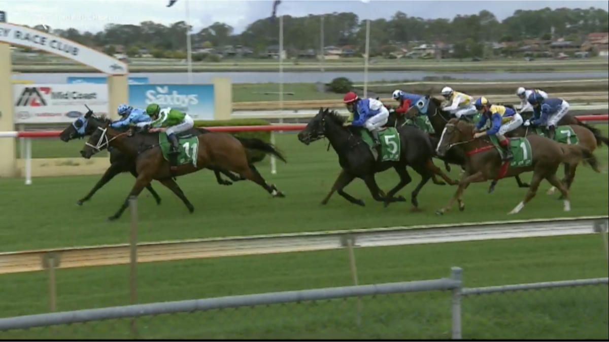 The Brown One Returns With A Placing At Taree, First Up - Damien Lane ...