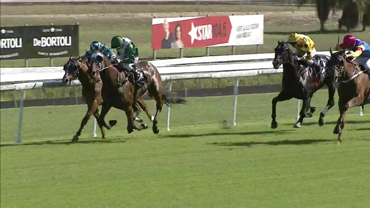 Spinning Gold Runs Third Under Jake Hull At Gosford - Damien Lane Racing
