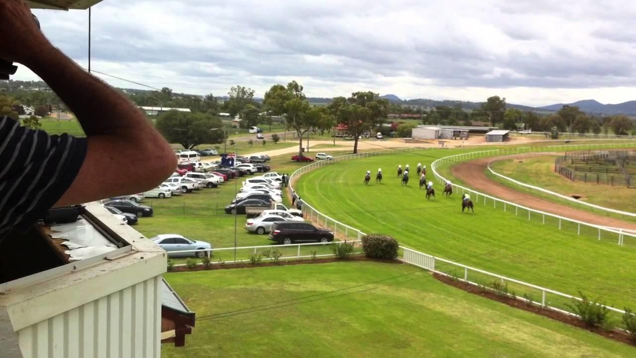 The Stable To Supply Runners To Quirindi On Friday - Damien Lane Racing