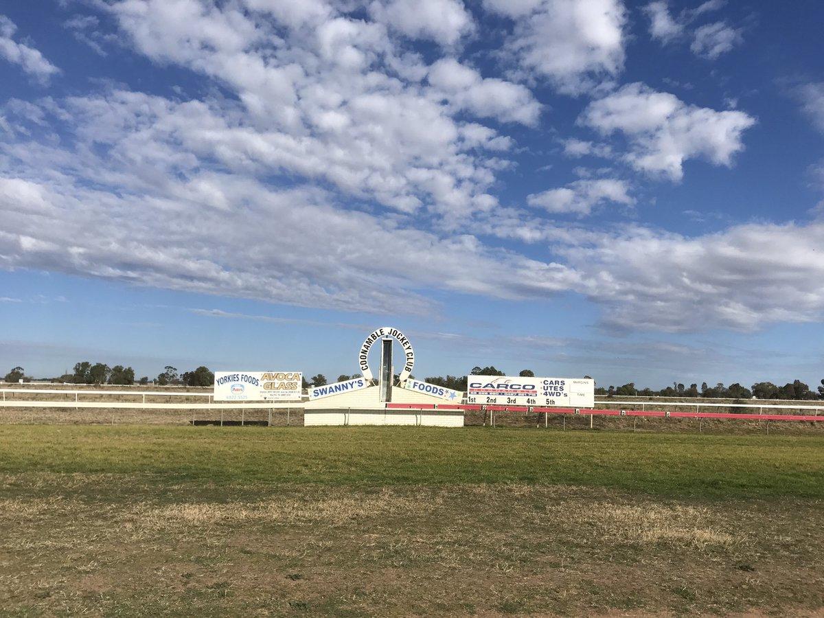 Flying Comet Heads To Coonamble On Saturday - Damien Lane Racing