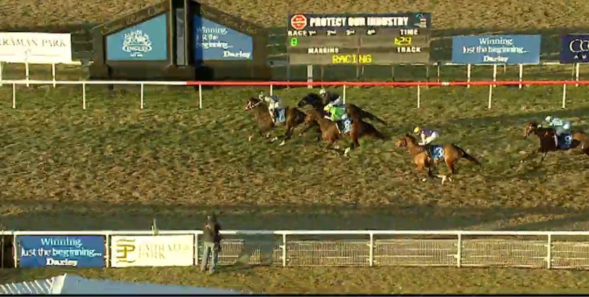 Another Consistant Showing By Oakfield Twilight - Damien Lane Racing