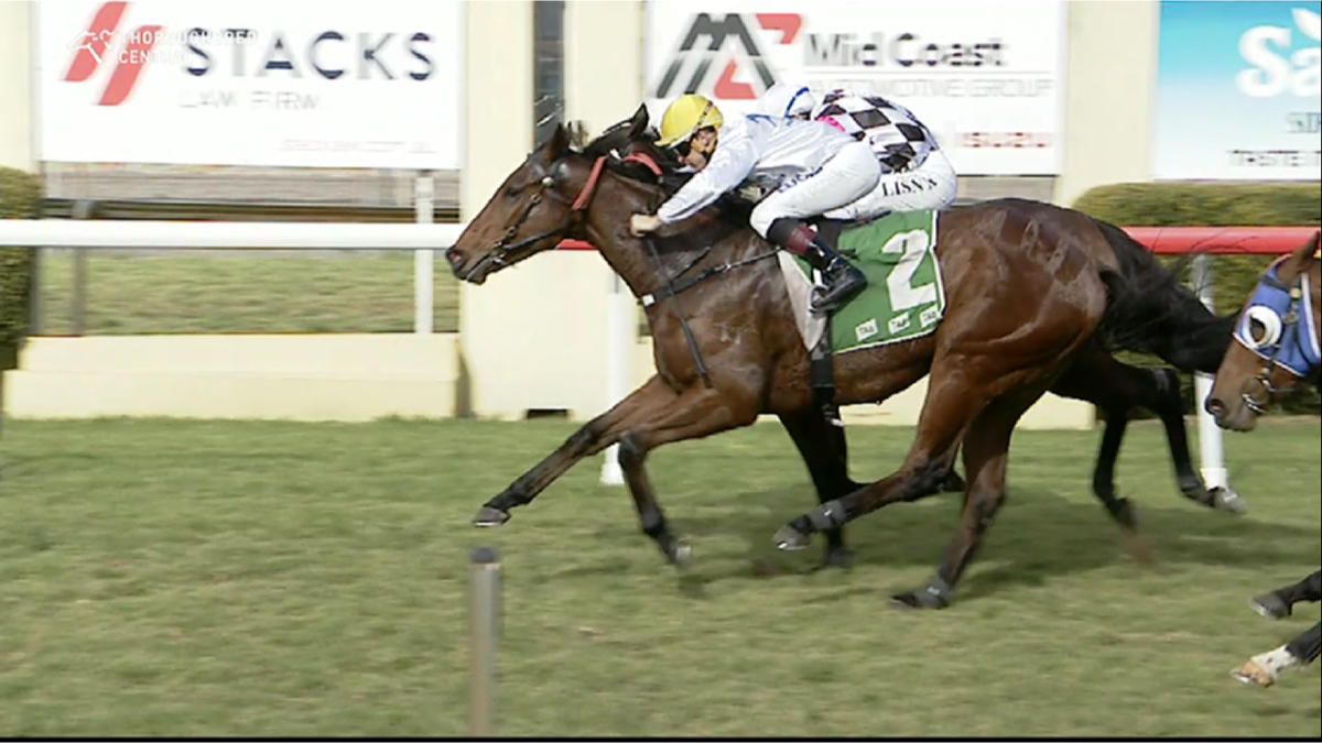 Rastafarian Claims Race 3 On The Taree Card Under Travis Wolfgram ...
