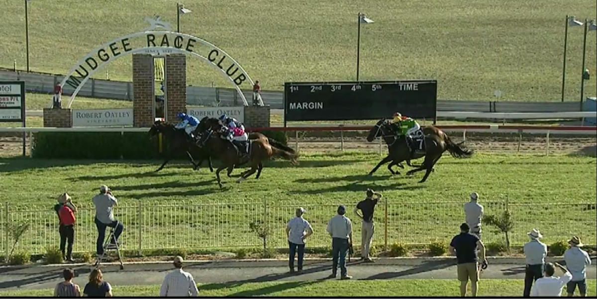 Choice Larga Runs Third In The Mudgee Cup Sprint - Damien Lane Racing