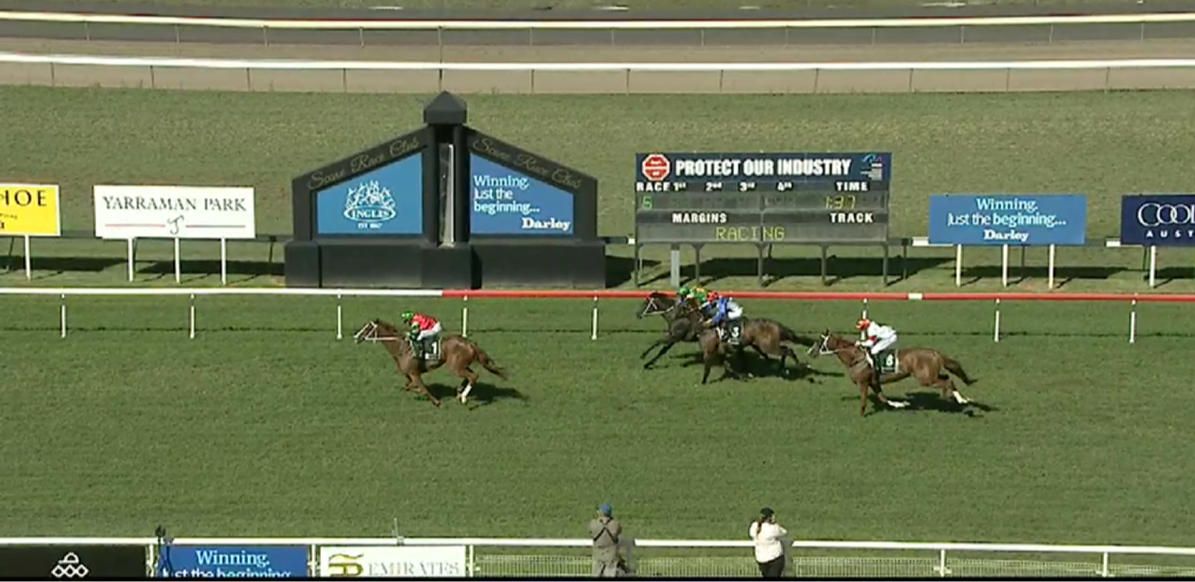 Sharp Speedo Grabs A Third Under Travis Wolfgram At Scone - Damien Lane ...