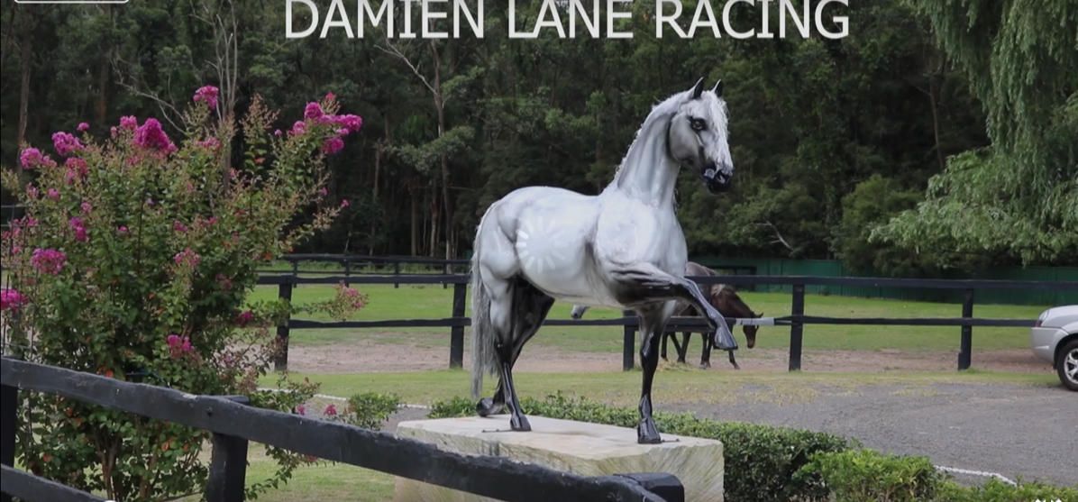 An Insight Into The Damien Lane Stable & How It Ticks - Damien Lane Racing