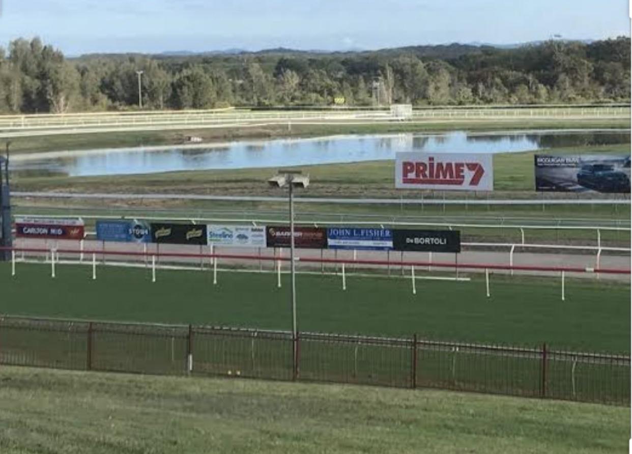The Lane Yard To Compete With Miss Sleuth At Port On Saturday - Damien ...