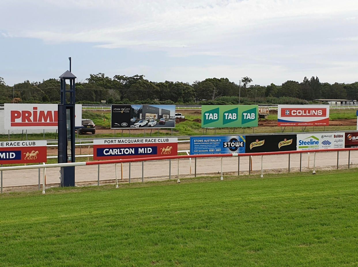 The Lane Yard Prepares Runners For Port On Sunday. - Damien Lane Racing