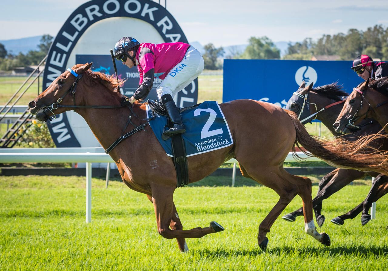 Just Field Goes Back First Up - Damien Lane Racing