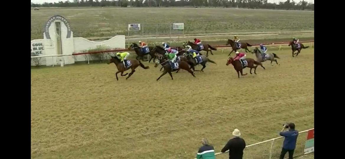Oakfield Hibiscus Wins at Gunnedah - Damien Lane Racing