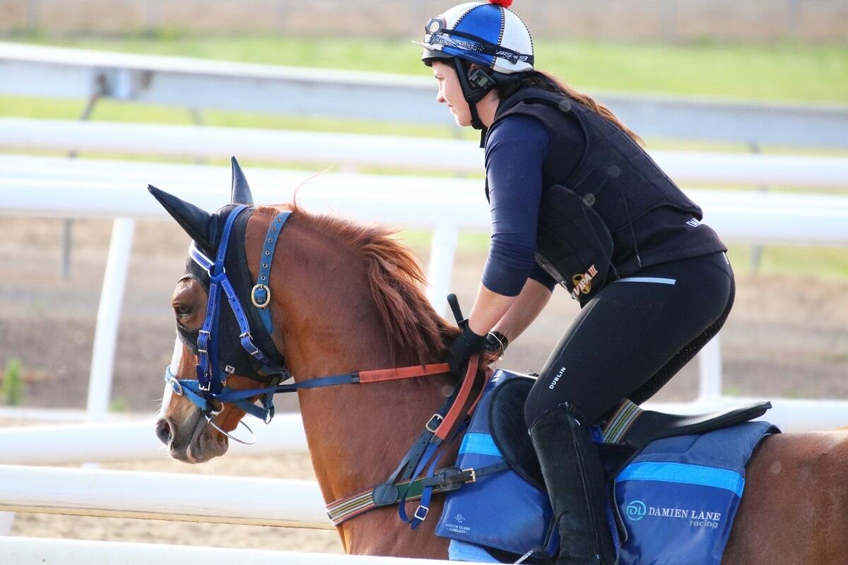 Photo Gallery - Damien Lane Racing