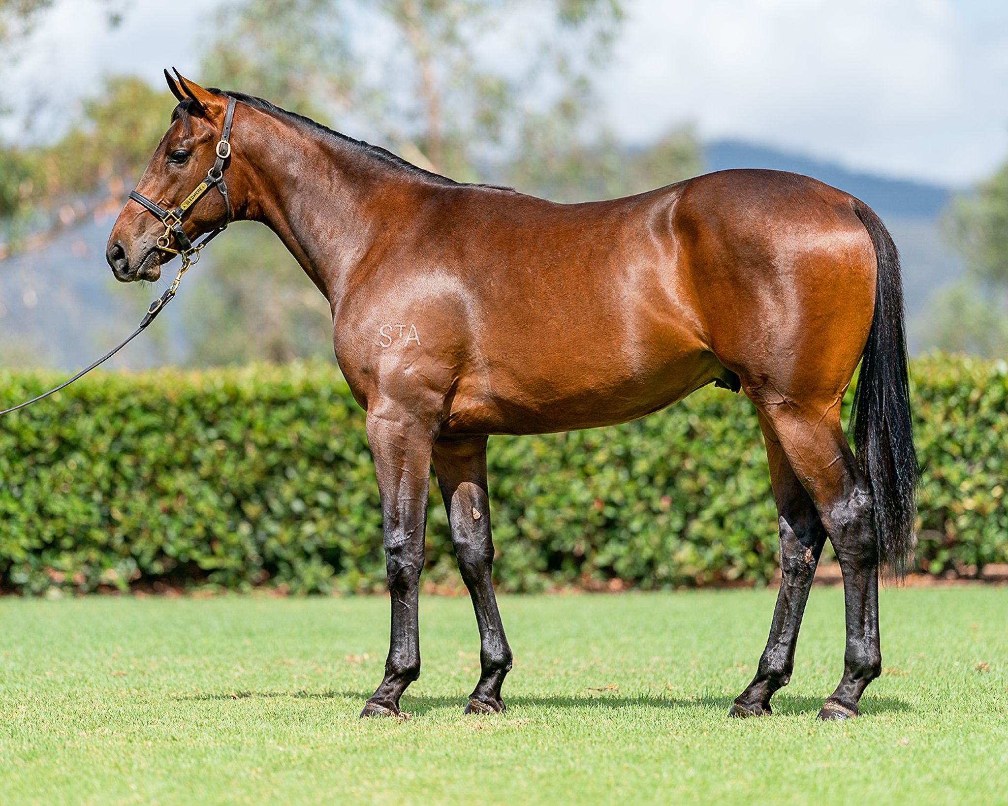 Stable News - Kerry Parker Racing