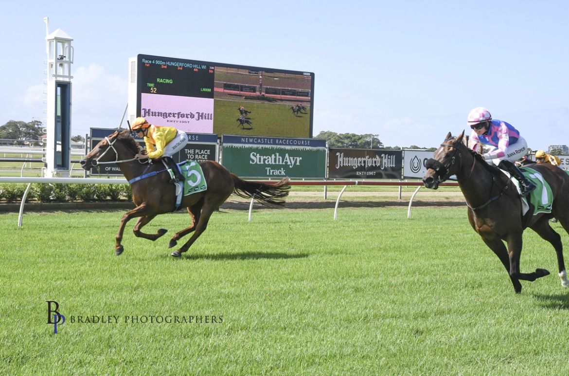 Stable News - Kerry Parker Racing