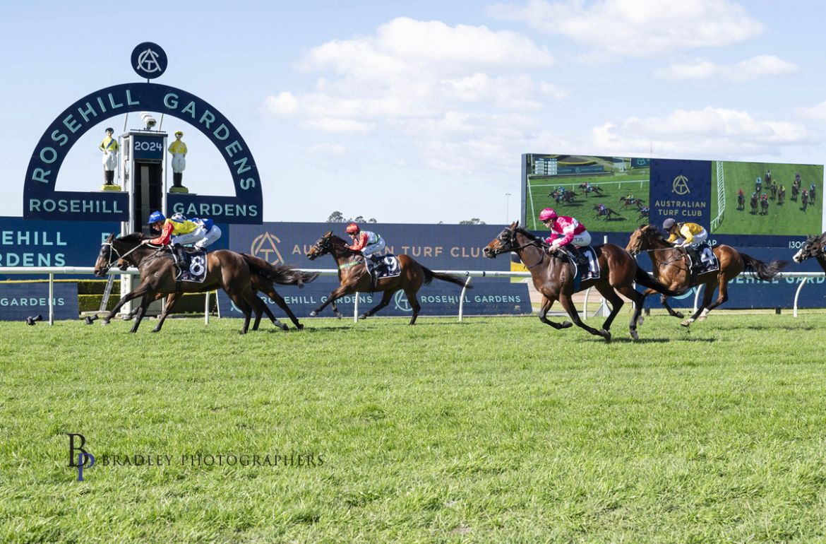 Four Winners in 9 Days for the Stable - Kerry Parker Racing